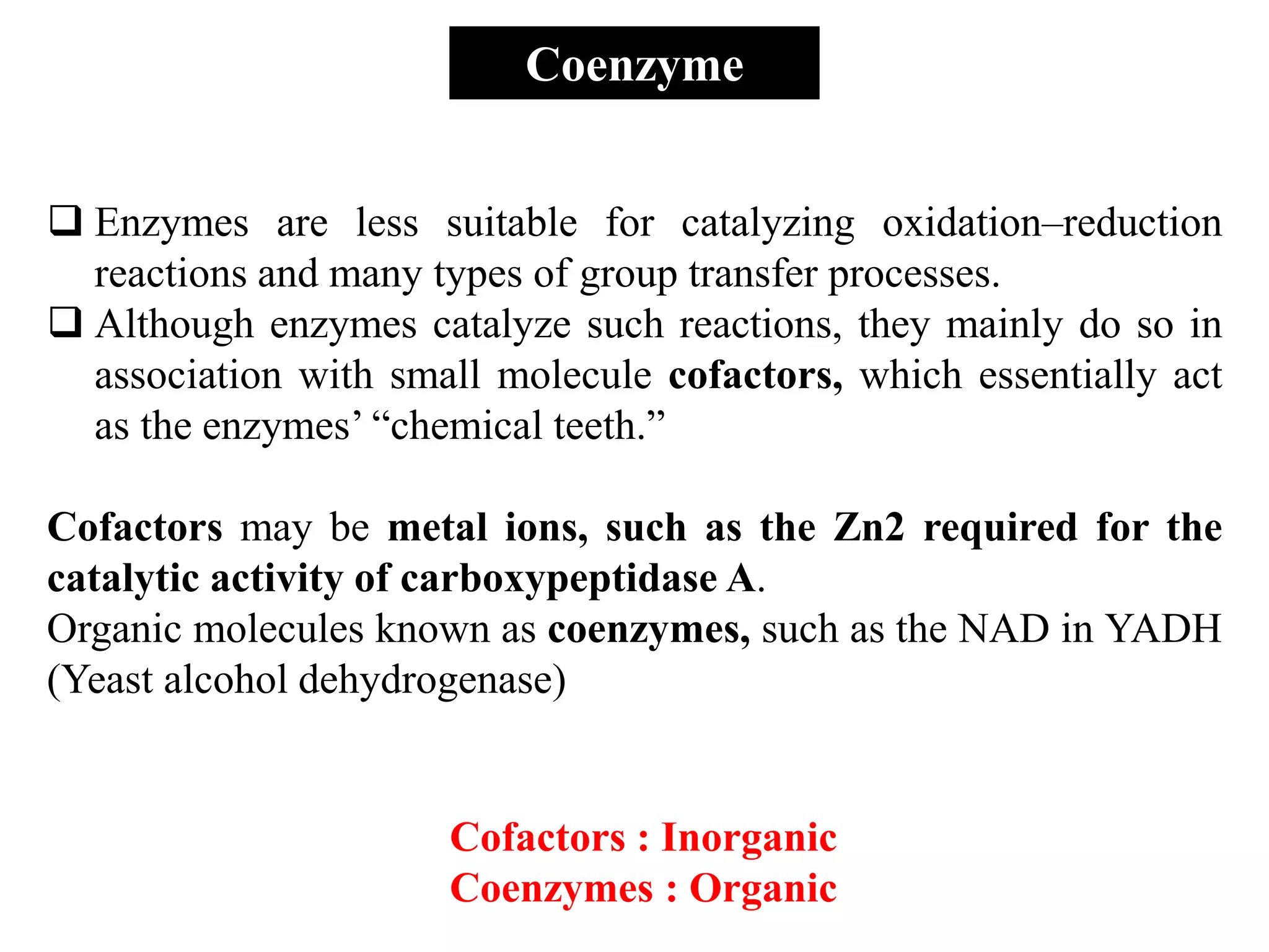 Enzymology-BSc-Biotechnology-SEM-II-PPT.pptx