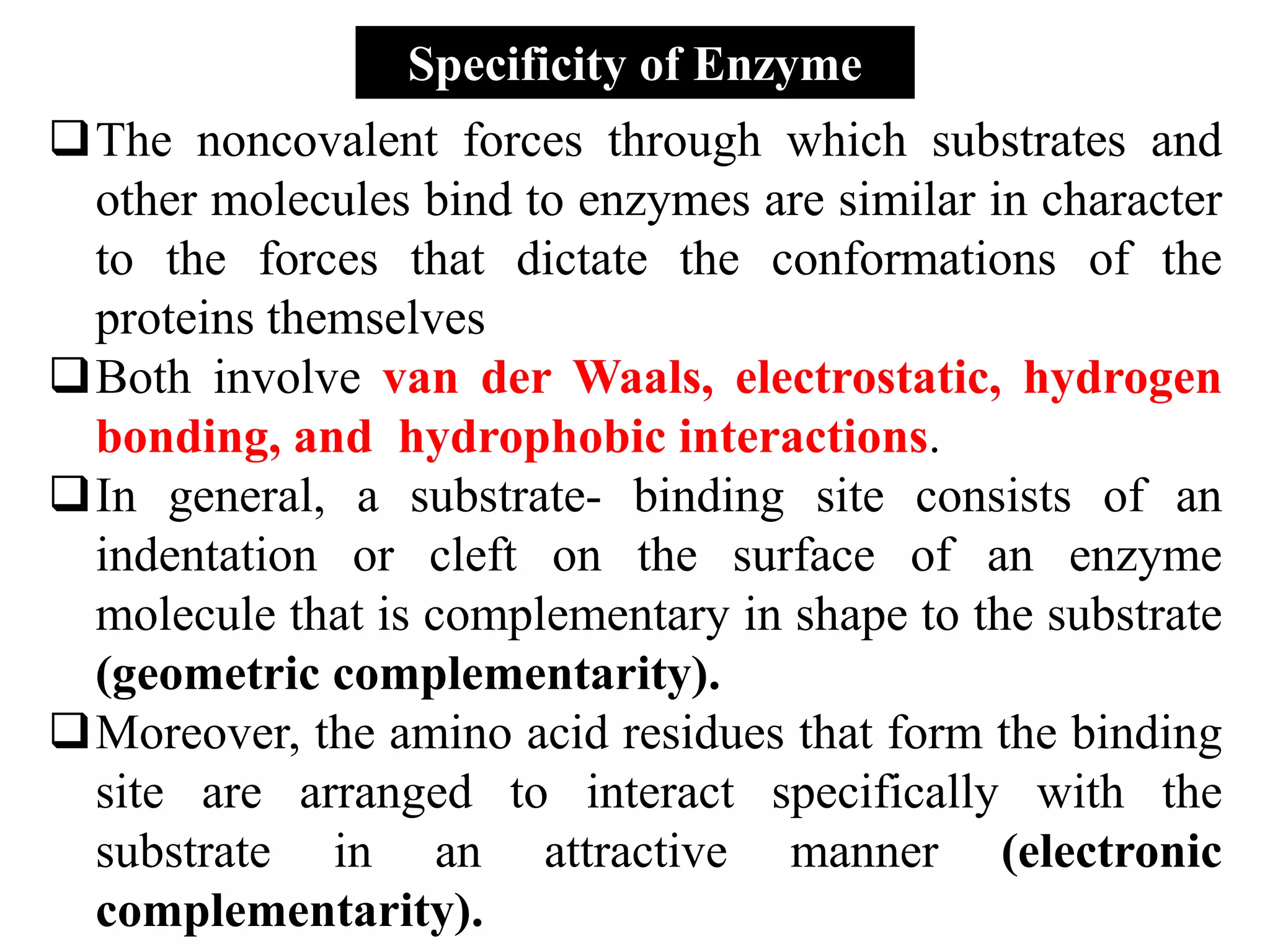 Enzymology-BSc-Biotechnology-SEM-II-PPT.pptx