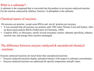 Enzymology-BSc-Biotechnology-SEM-II-PPT.pptx