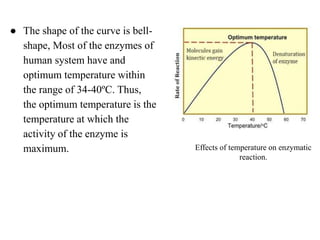 Enzymology-BSc-Biotechnology-SEM-II-PPT.pptx