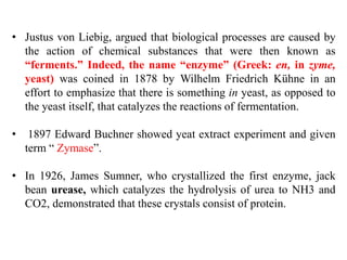 Enzymology-BSc-Biotechnology-SEM-II-PPT.pptx