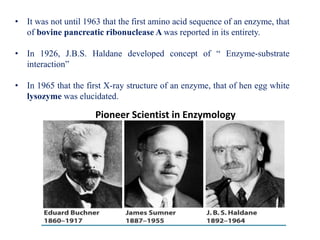 Enzymology-BSc-Biotechnology-SEM-II-PPT.pptx