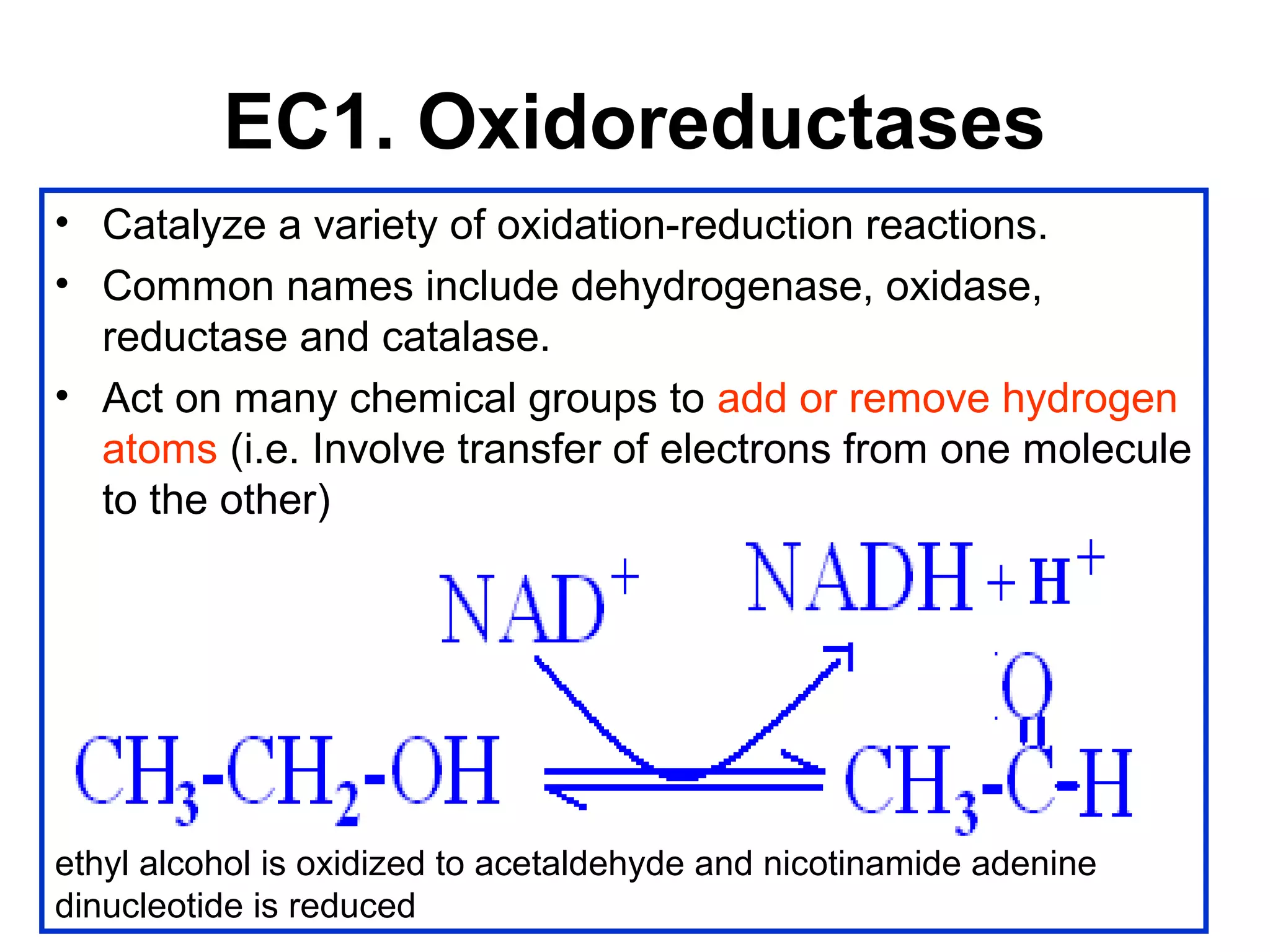 Enzymology | PPT