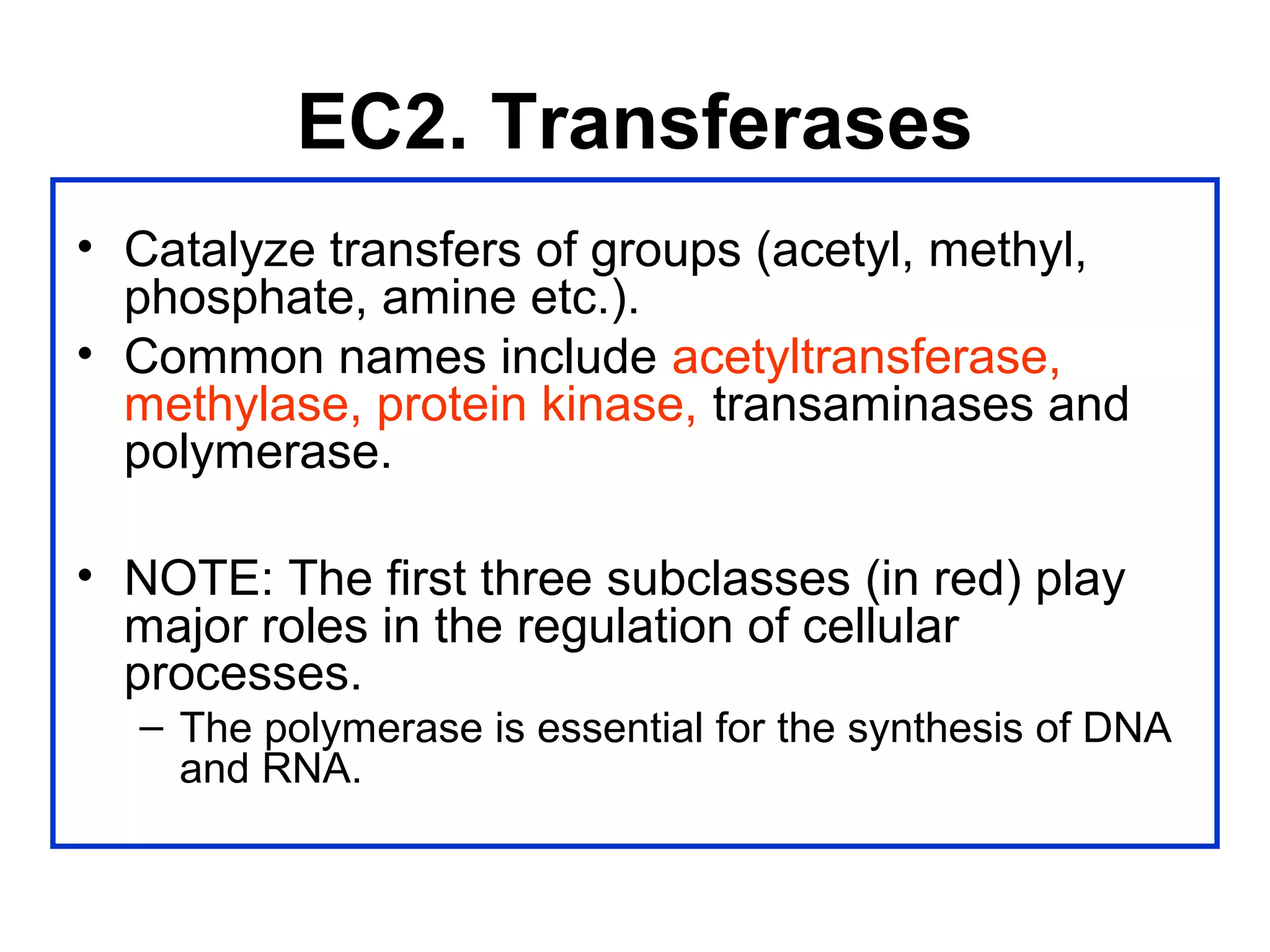 Enzymology | PPT