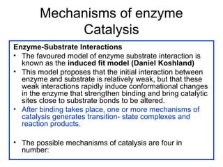 Enzymology | PPT