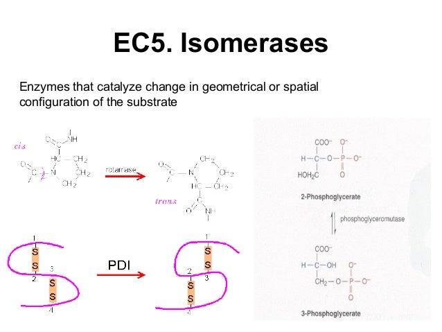 Enzymology