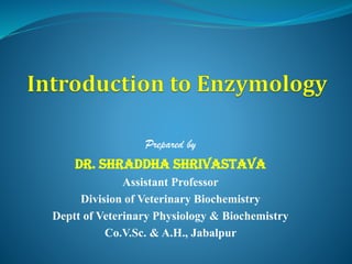 Enzymology-ppt.pdf