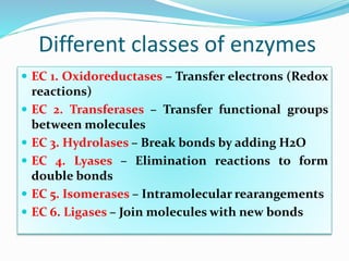 Enzymology-ppt.pdf