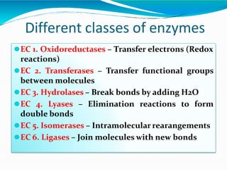 Enzymology-ppt.pptx