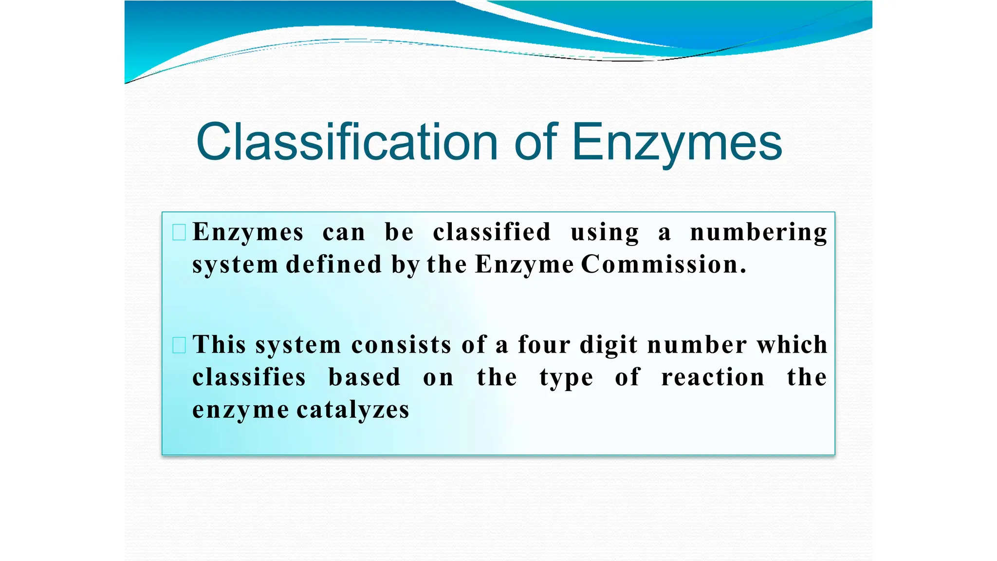 Enzymology-ppt.pptx notes for botany semister | PPTX
