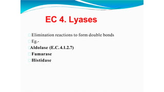 Enzymology-ppt.pptx notes for botany semister | PPT