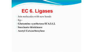 Enzymology-ppt.pptx notes for botany semister | PPT