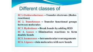 Enzymology-ppt.pptx notes for botany semister | PPT