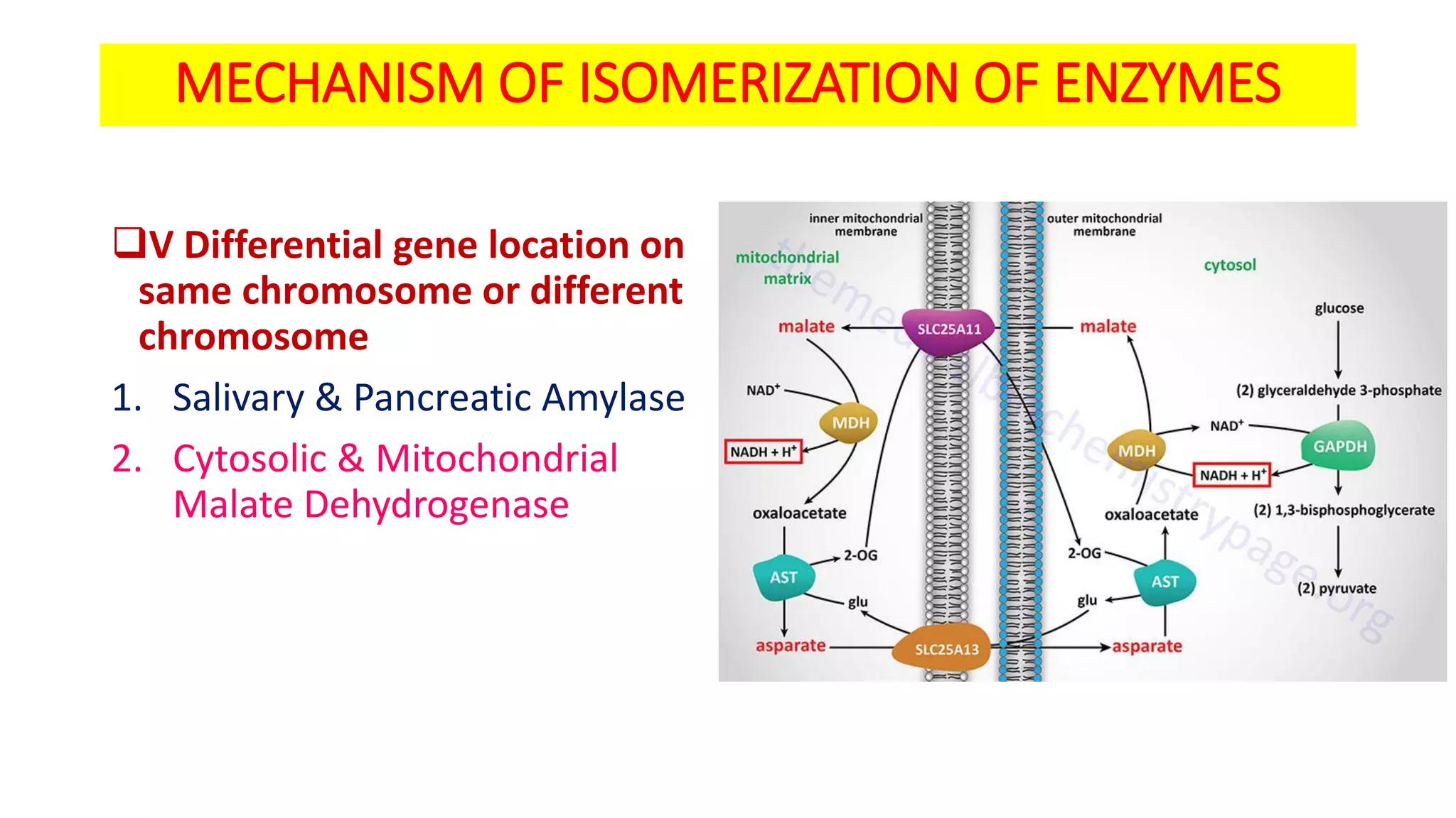 Enzymology clinical significance of enzymes and isoenzymes | PDF