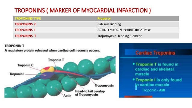 Enzymology clinical significance of enzymes and isoenzymes