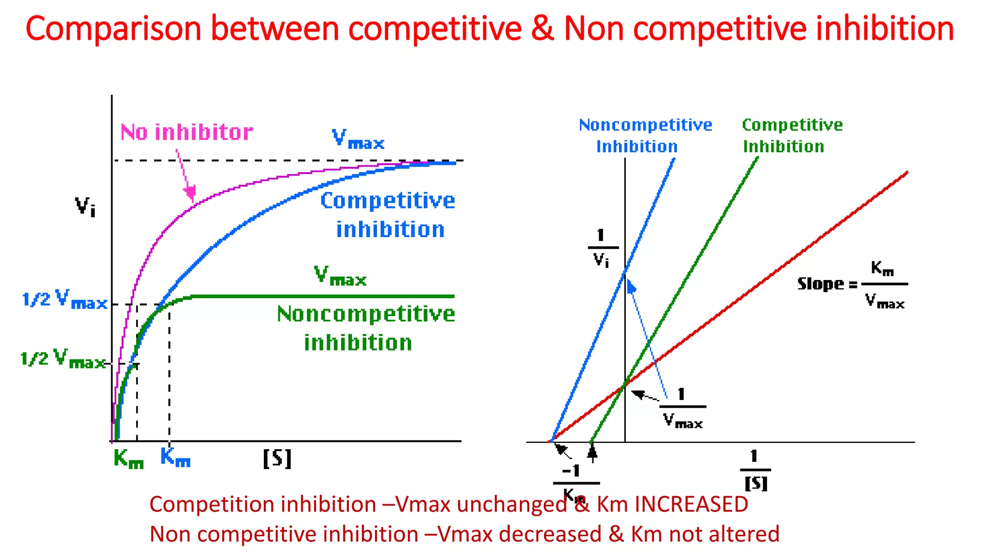 Enzymology enzyme inhibition &therapeutic uses | PDF