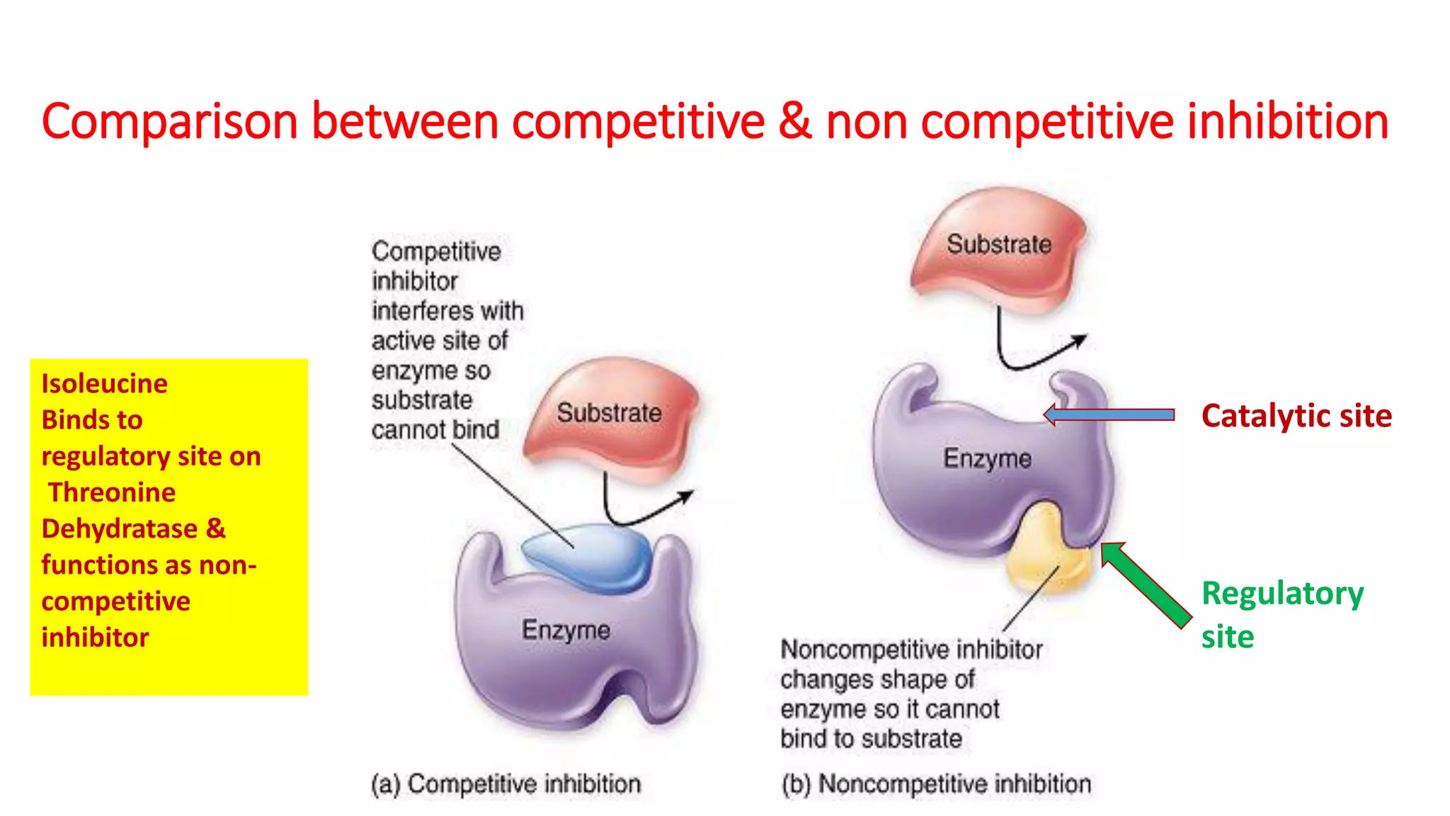 Enzymology enzyme inhibition &therapeutic uses | PDF