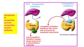 Enzymology enzyme inhibition &therapeutic uses | PDF