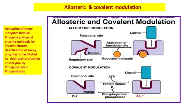 Enzymology enzyme inhibition &therapeutic uses