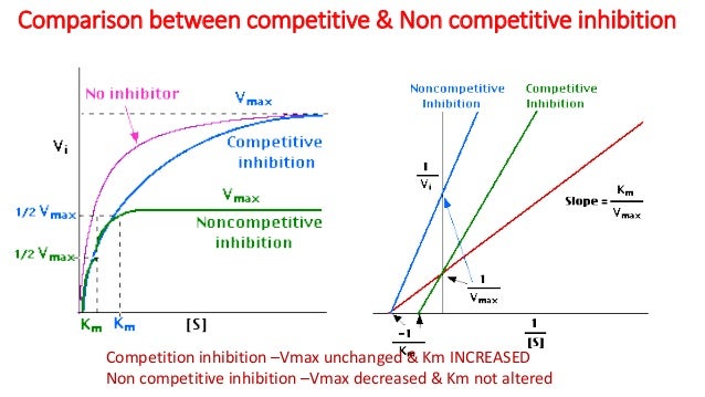 Enzymology enzyme inhibition &therapeutic uses