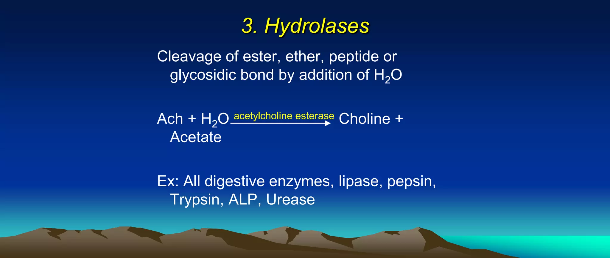 Enzymology for B.Sc. nursing students | PPTX