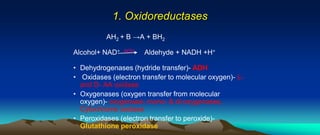 Enzymology for B.Sc. nursing students | PPTX