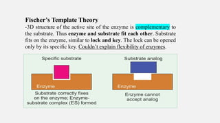 Enzymology Jan.pptx