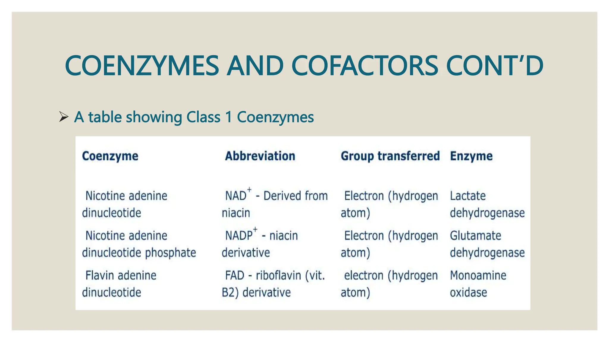 ENZYMOLOGY (KIUT Year 1)-2.pptx