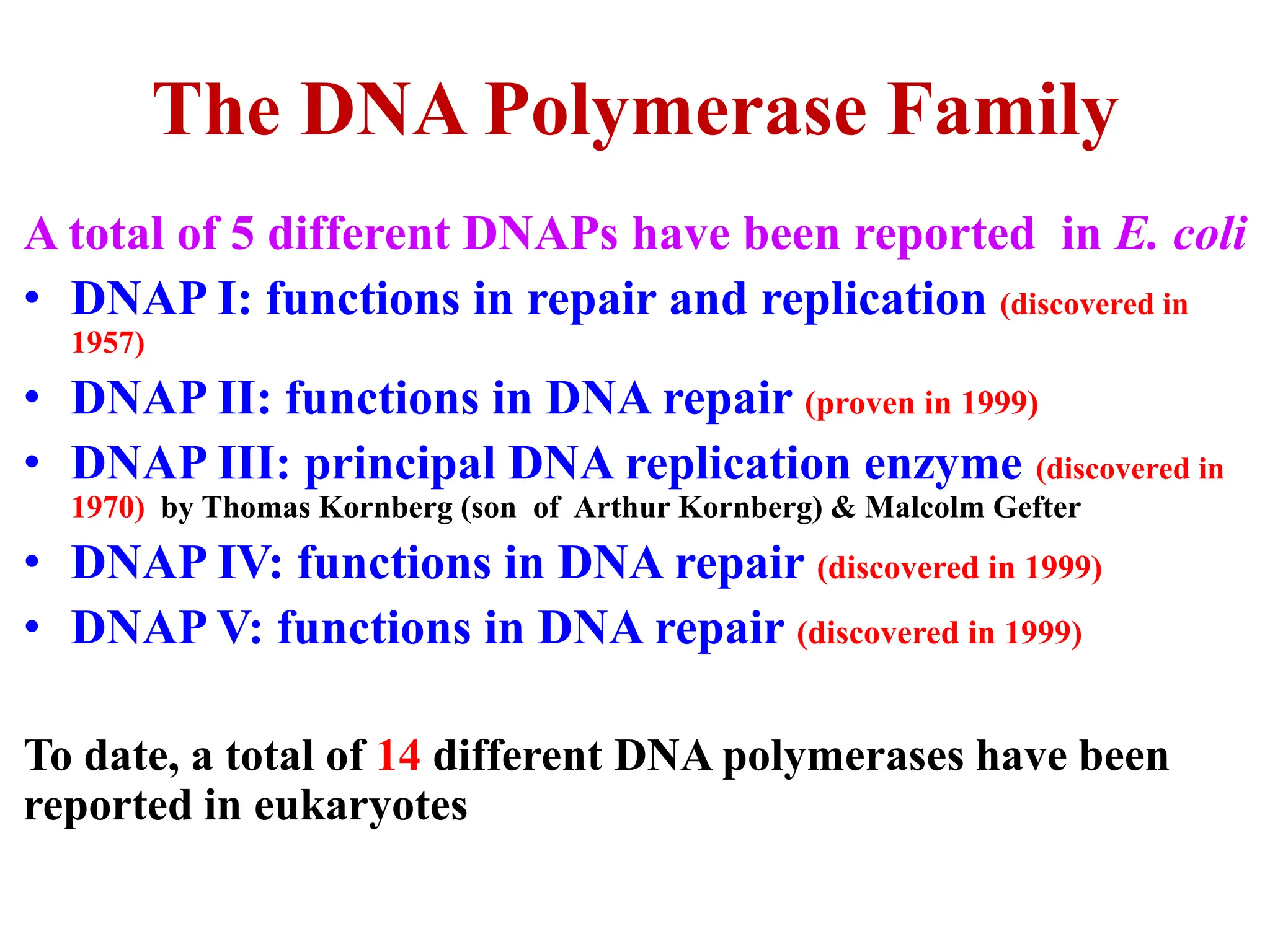 Enzymology of DNA Replication - I (Prokaryotic DNA Polymerases).pdf
