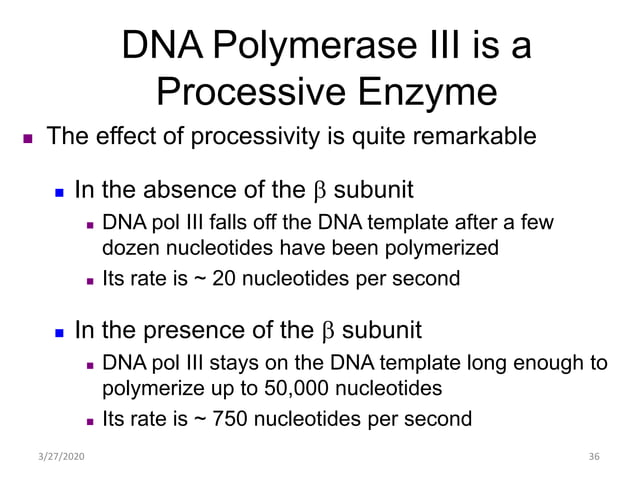 Enzymology of DNA Replication - I (Prokaryotic DNA Polymerases).pdf