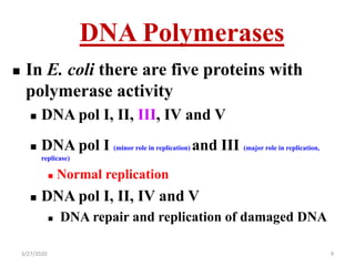 Enzymology of DNA Replication - I (Prokaryotic DNA Polymerases).pdf