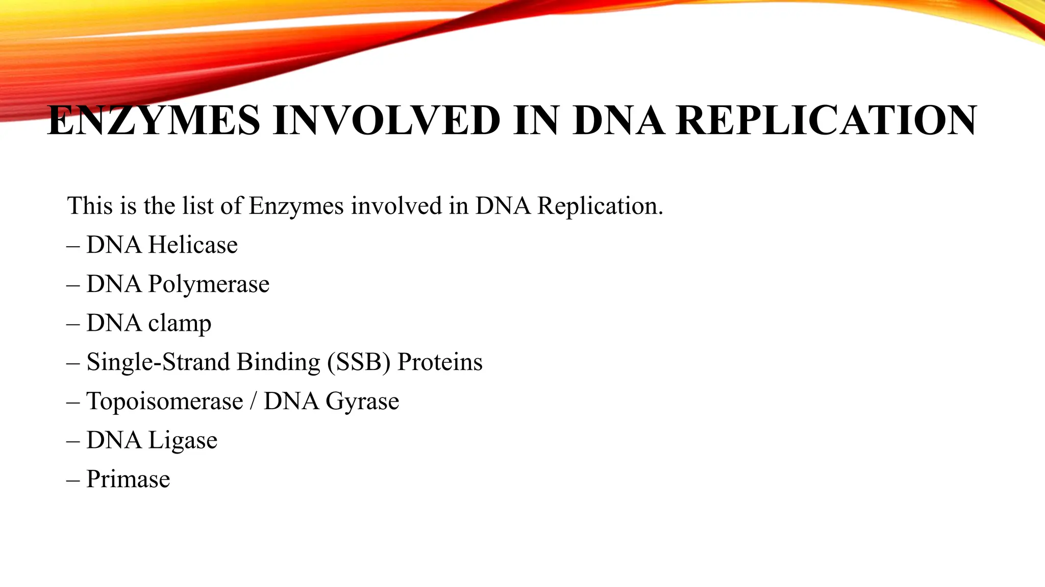 Chemistry and Enzymology of Replication | PDF