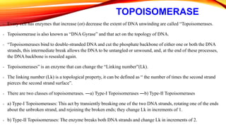 Chemistry and Enzymology of Replication | PDF