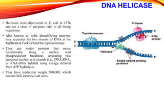 Chemistry and Enzymology of Replication | PDF