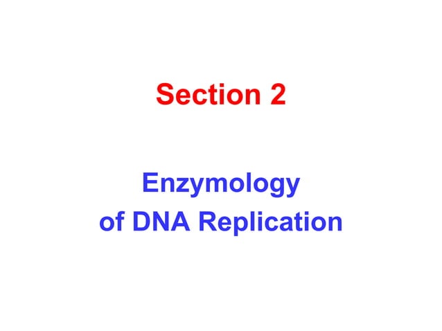 Enzymology of Replication 2.pptvhhvhfhfhf | PPT | Free Download