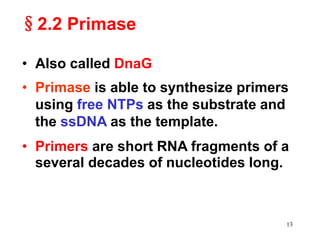 Enzymology of Replication 2.pptvhhvhfhfhf | PPT