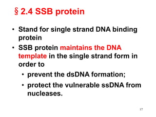 Enzymology of Replication 2.pptvhhvhfhfhf | PPT