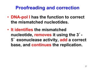 Enzymology of Replication 2.pptvhhvhfhfhf | PPT