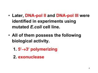 Enzymology of Replication 2.pptvhhvhfhfhf | PPT | Free Download