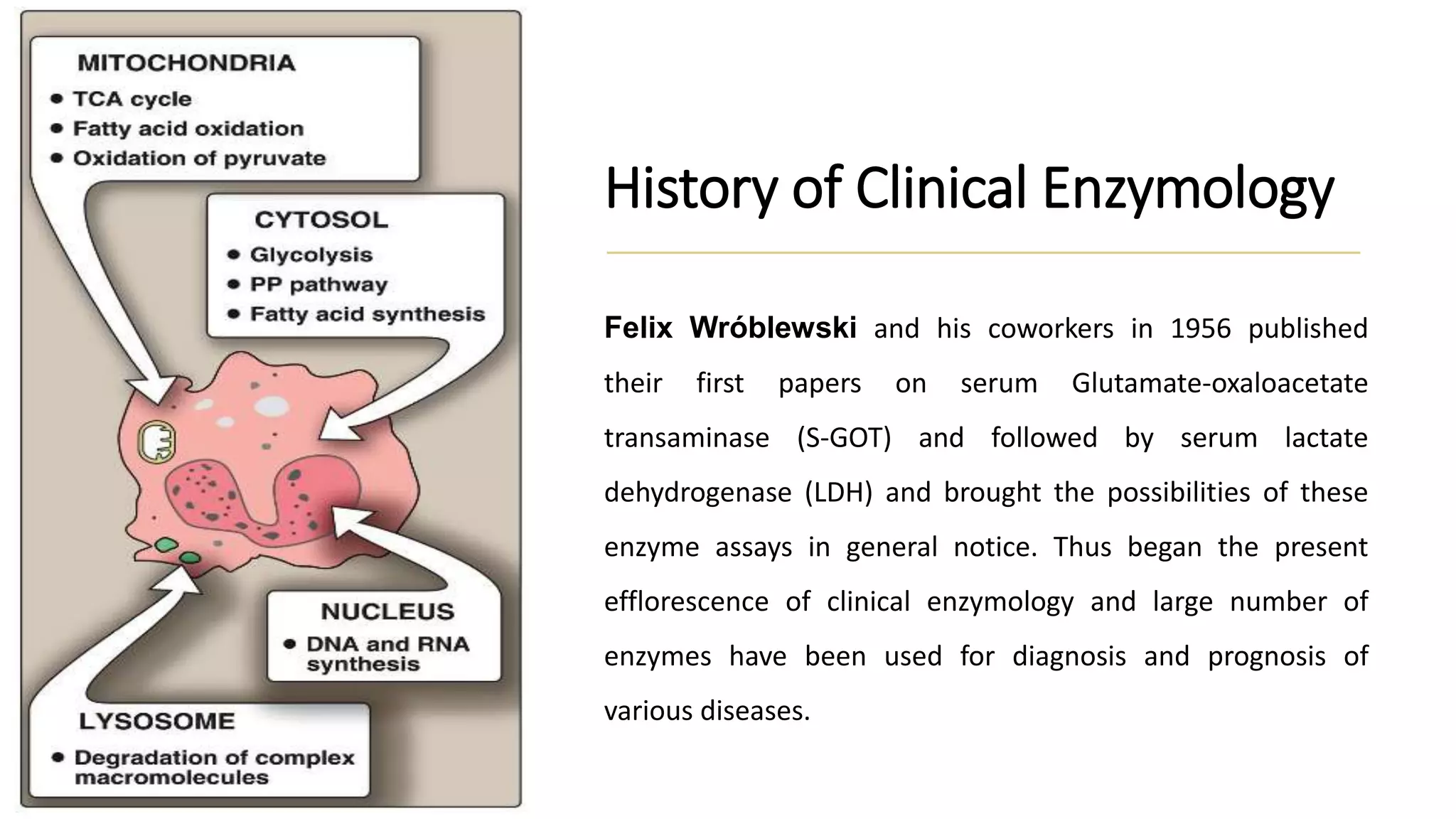 Enzymology part2 | PPT