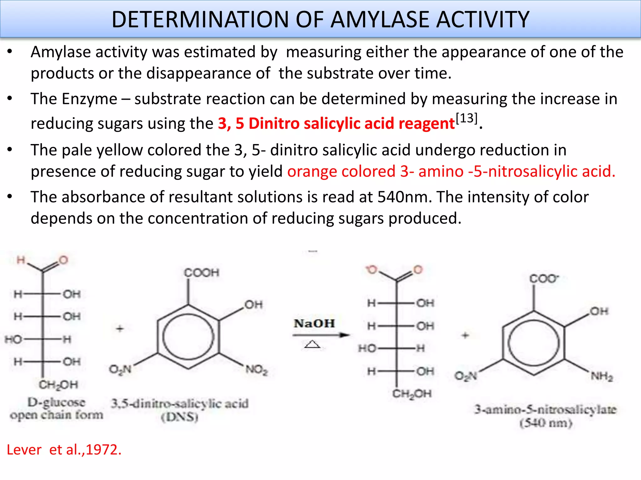 Presentation on Amylase enzyme | PPTX