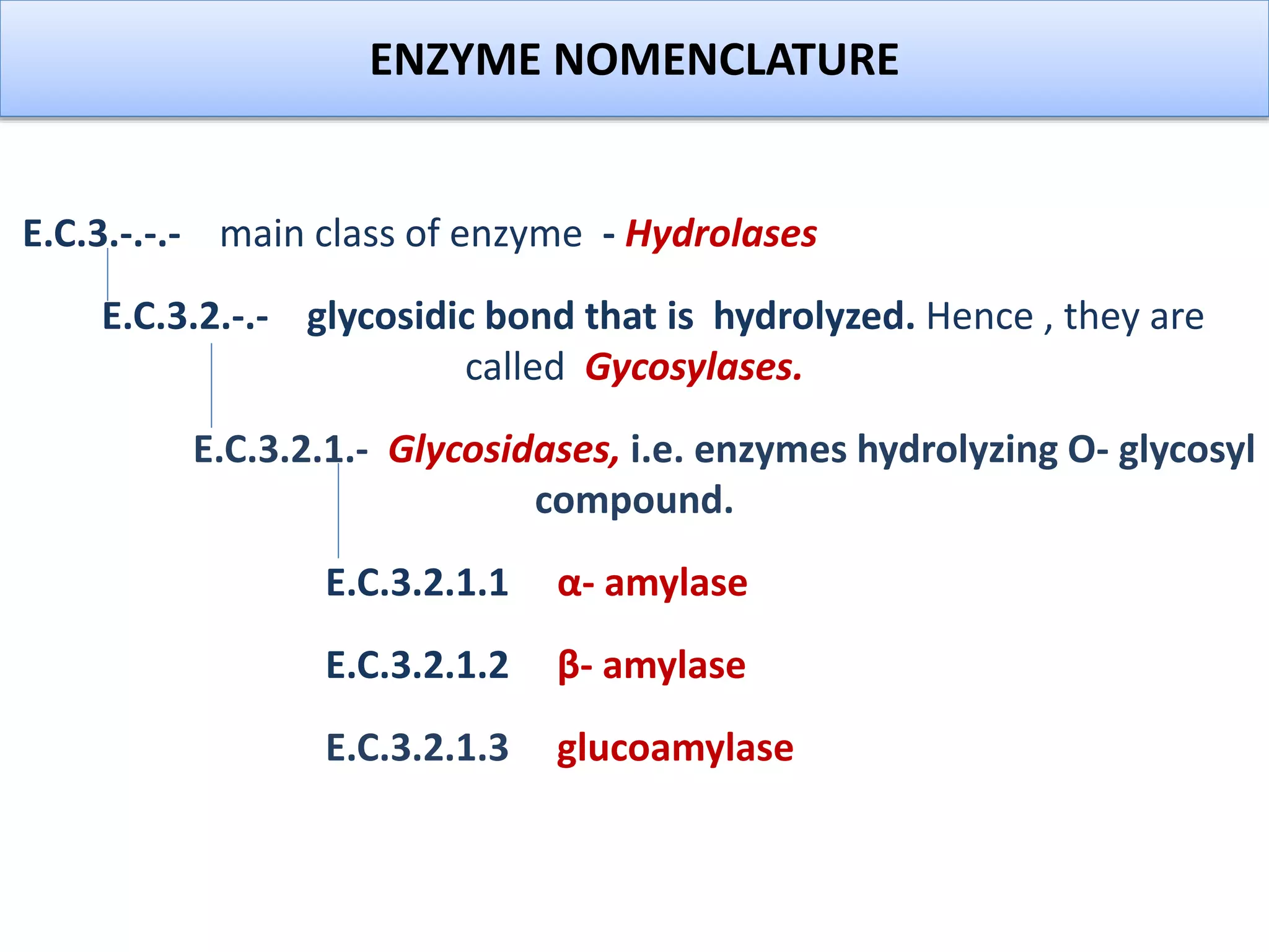 Presentation on Amylase enzyme | PPTX