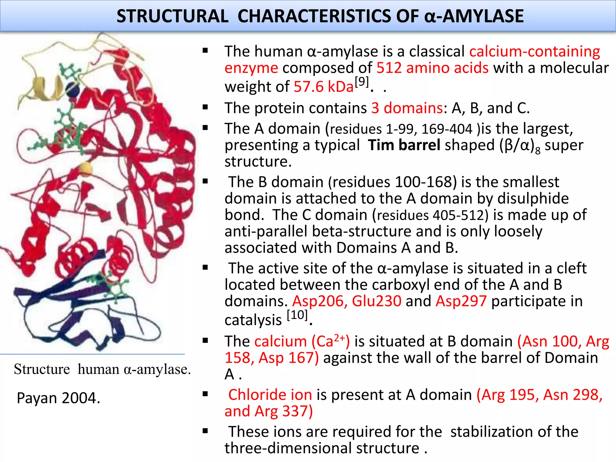 Presentation on Amylase enzyme | PPT
