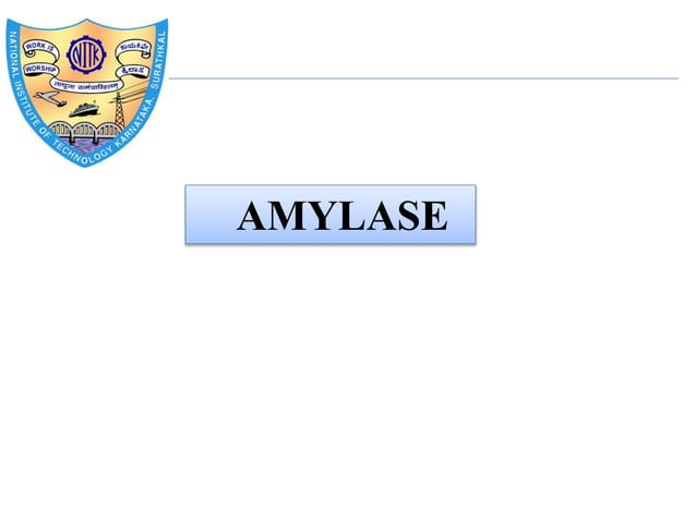 Presentation on Amylase enzyme | PPTX | Chemistry | Science