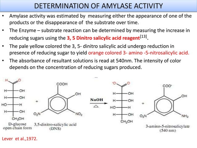 Presentation on Amylase enzyme | PPTX | Chemistry | Science