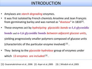 Presentation on Amylase enzyme | PPTX