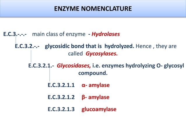 Presentation on Amylase enzyme | PPTX | Chemistry | Science