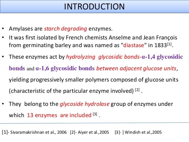 Presentation on Amylase enzyme
