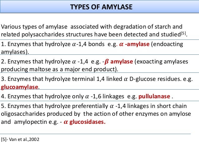 Presentation on Amylase enzyme