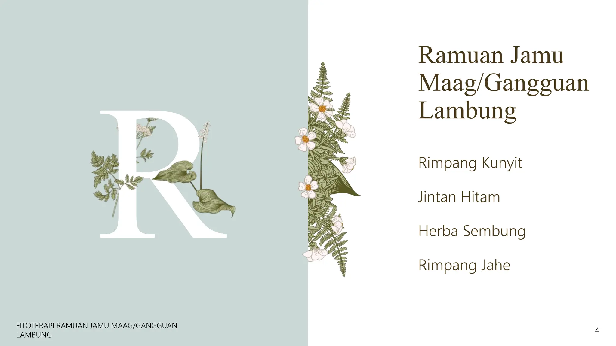 FITOTERAPI evidance based medicine ramuan jamu maag.pptx